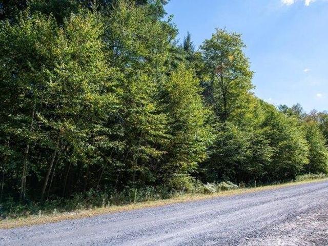 land Chester VT ES103434295