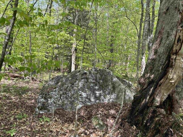 land Chester VT ES104853583