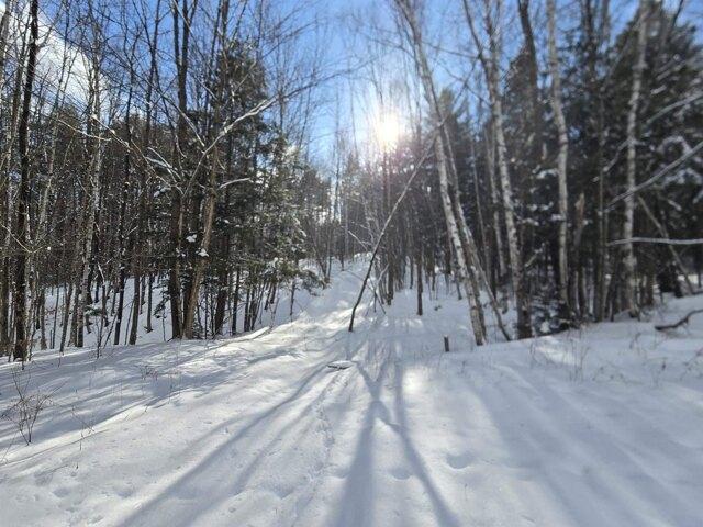 land Chester VT ES105473713