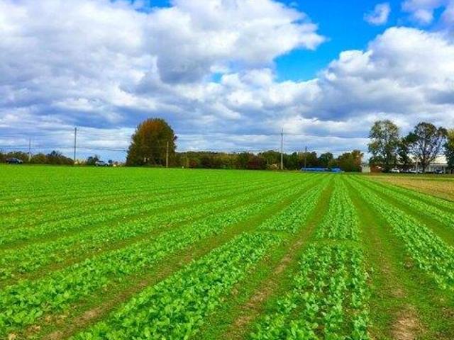 land Chesterfield NJ DLS101632675