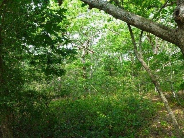 land Chilmark MA ES105140359