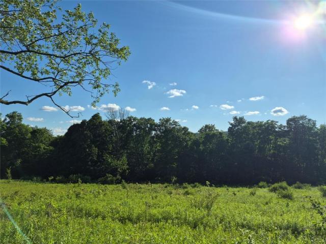 land Cincinnatus NY DS103424698