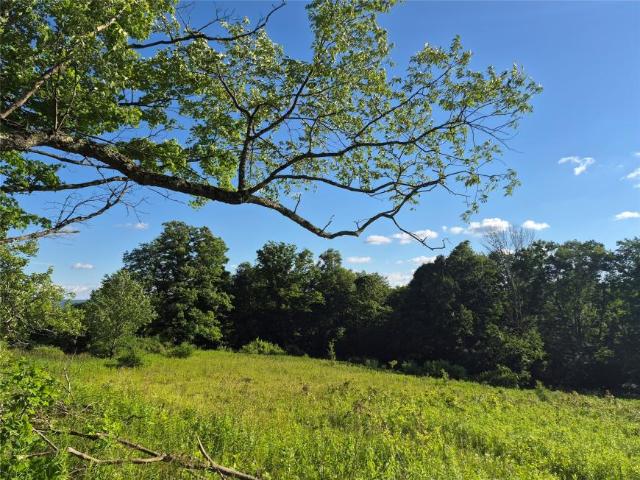 land Cincinnatus NY ES103424698