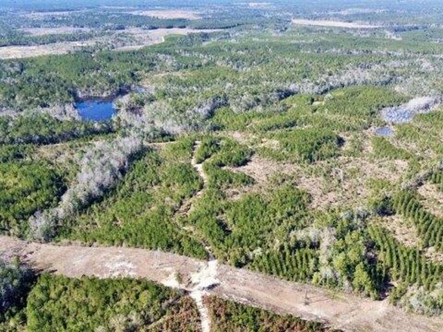 land Citronelle AL DLS92806222