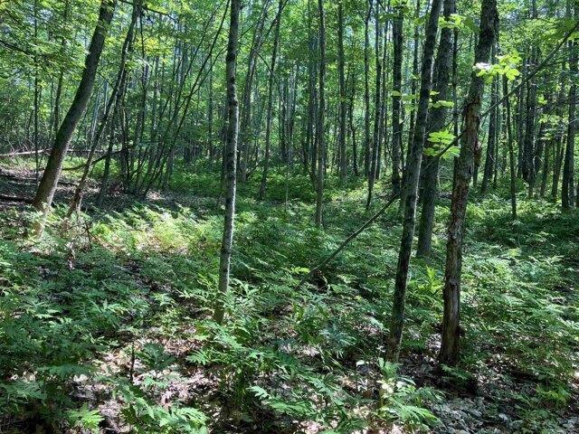 land Claremont NH DS101898905