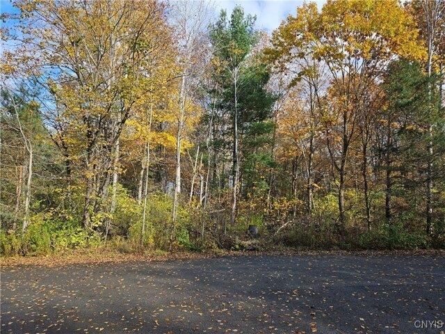 land Clayton NY DLS91403987