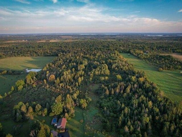 land Clayton NY DLS91405402
