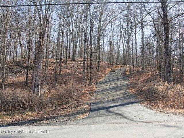 land Clinton Corners NY DS103621415
