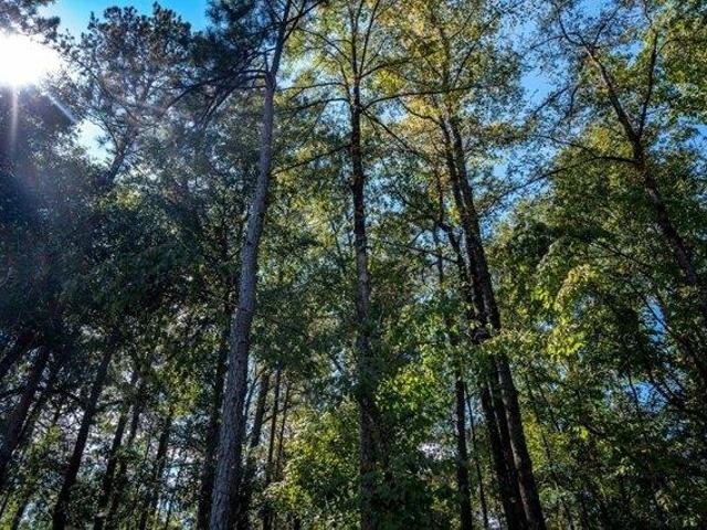 land Columbus GA ES104909644