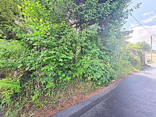 Land Commercial