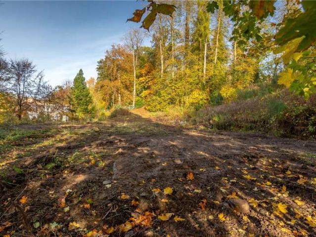 Land Commercial