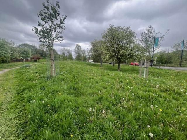 Land Commercial