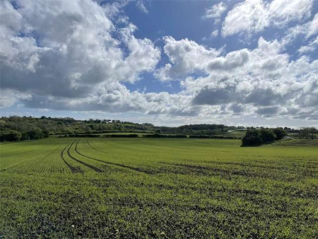 Land Commercial