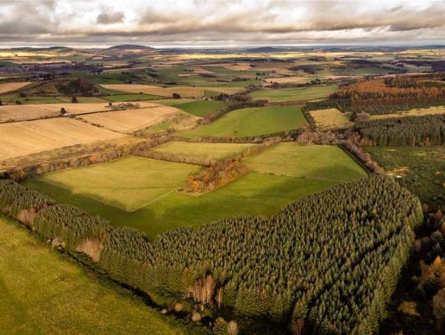 Land Commercial