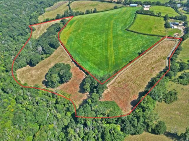 Land Commercial