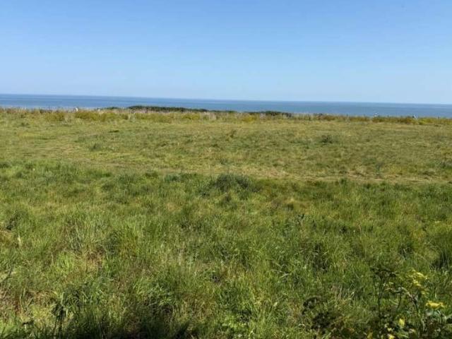 Land Commercial