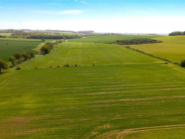 Land Commercial
