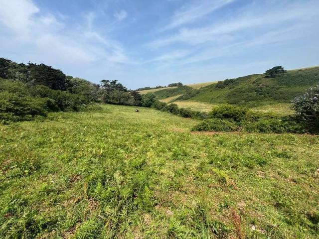 Land Commercial