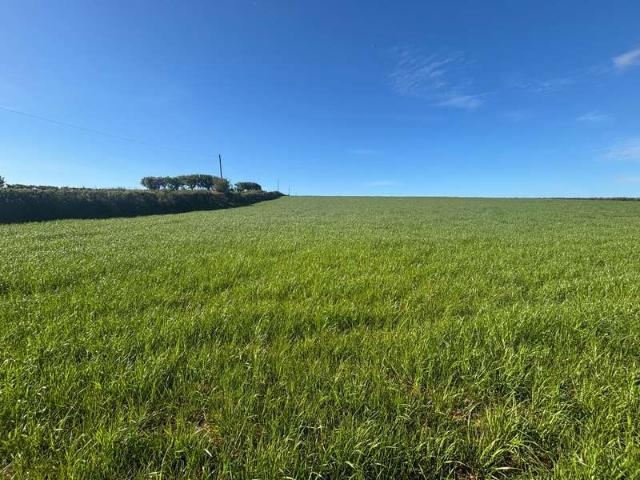Land Commercial