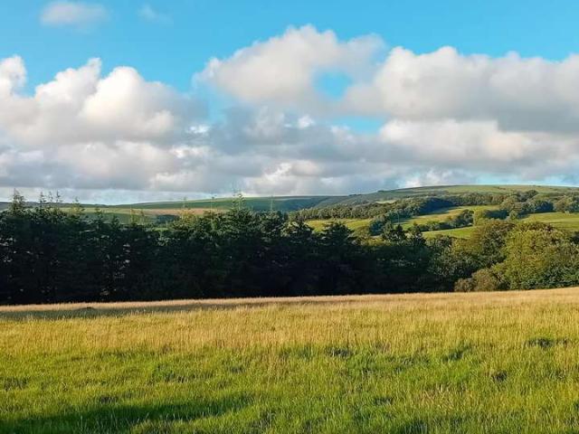 Land Commercial