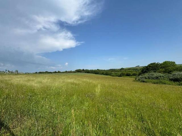 Land Commercial
