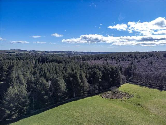 Land Commercial