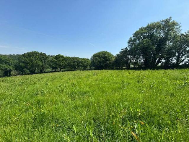 Land Commercial