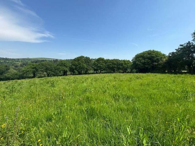 Land Commercial