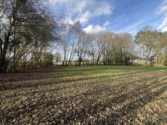 Land Commercial
