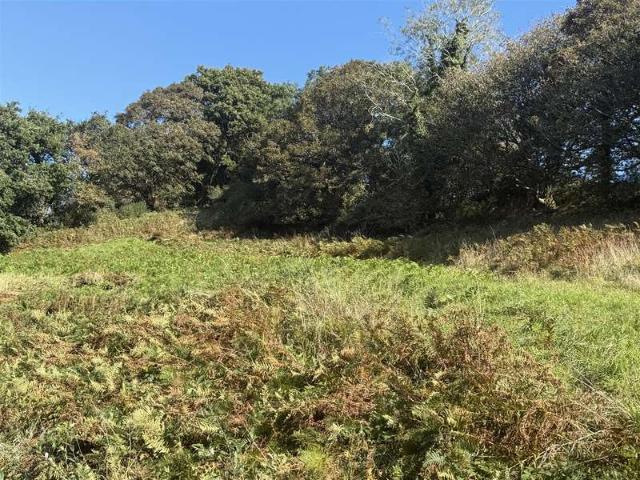 Land Commercial