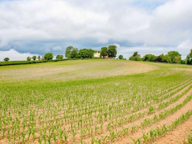 Land Commercial