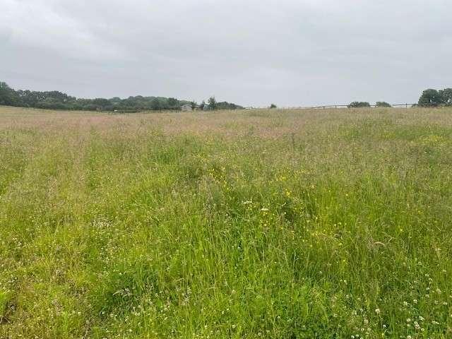 Land Commercial