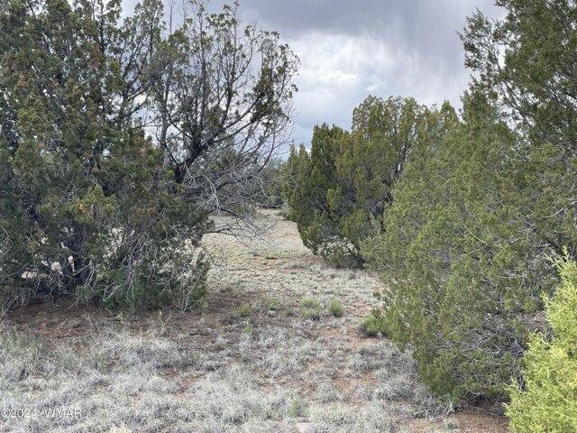 land Concho AZ ES103501016