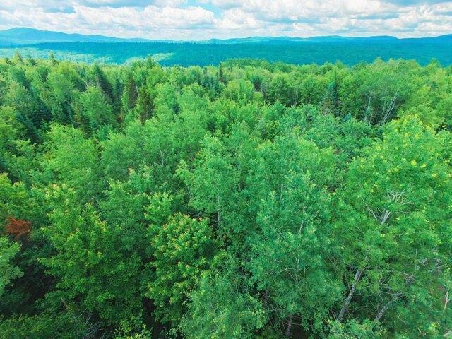 land Concord VT DS103886989