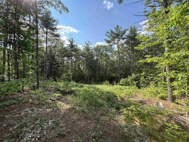 land Conway NH DLS102446590
