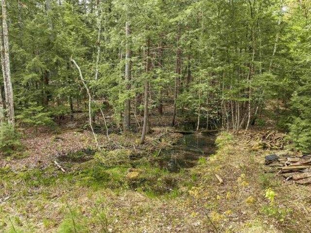 land Conway NH DLS102119835
