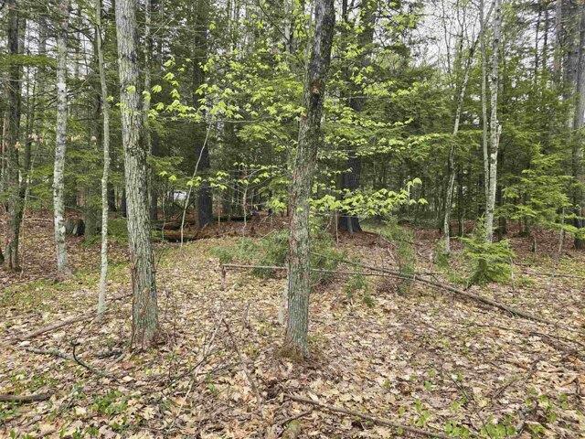 land Conway NH DS102565853