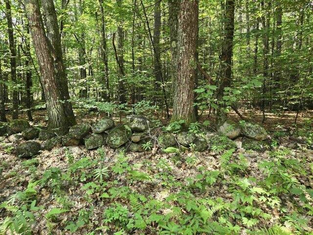 land Conway NH ES104542291