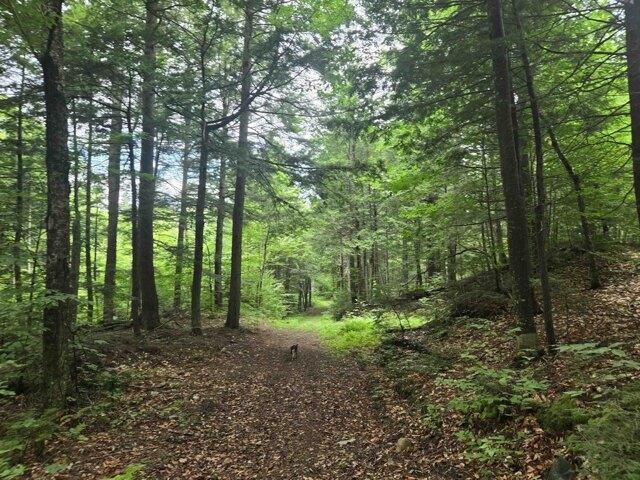 land Conway NH ES105094244