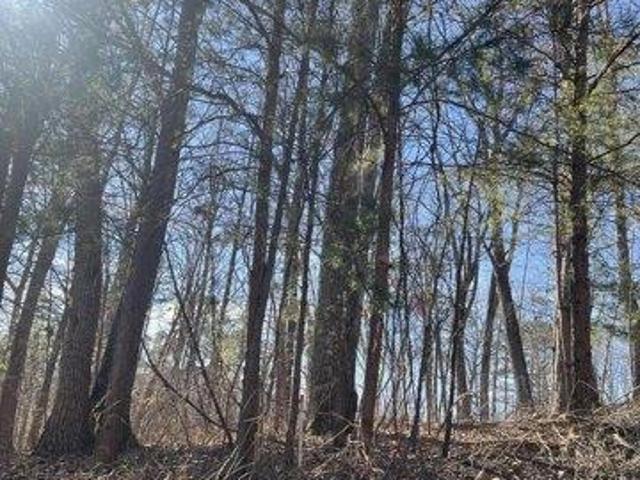 land Cosby TN DS103500661