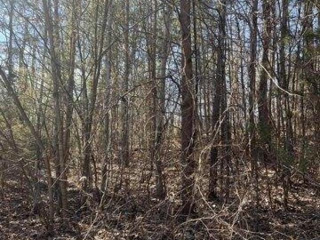 land Cosby TN ES103500661
