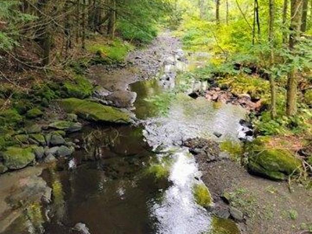 land Cornish NH DS102823077
