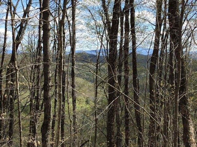 land Corinth VT DLS102157094
