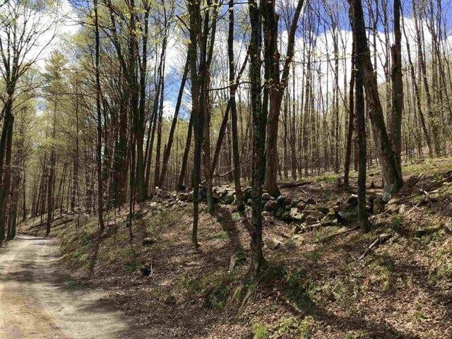 land Corinth VT ES103074430