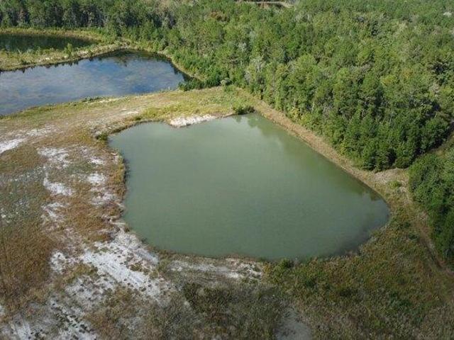 land Cottageville SC ES104902786