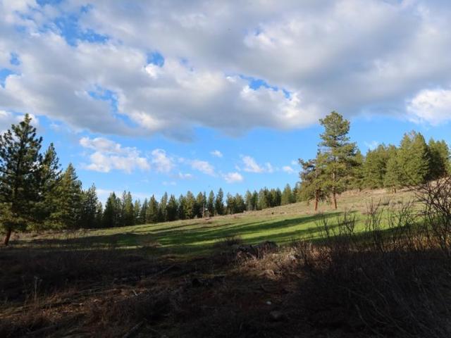 land Council ID DLS91915555