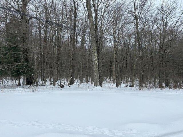 land Coudersport PA DS103603164