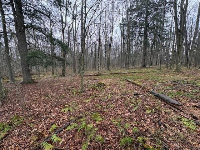 land Coudersport PA ES103603164