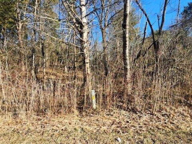 land Coxsackie NY DLS91378411