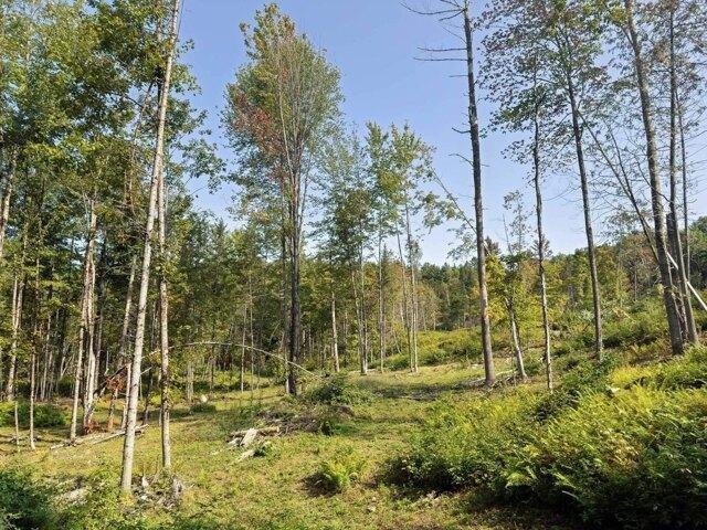 land Craftsbury VT DS104188514